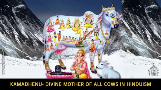 Kamadhenu- Divine mother of all cows in Hinduism | Vedic Tribe