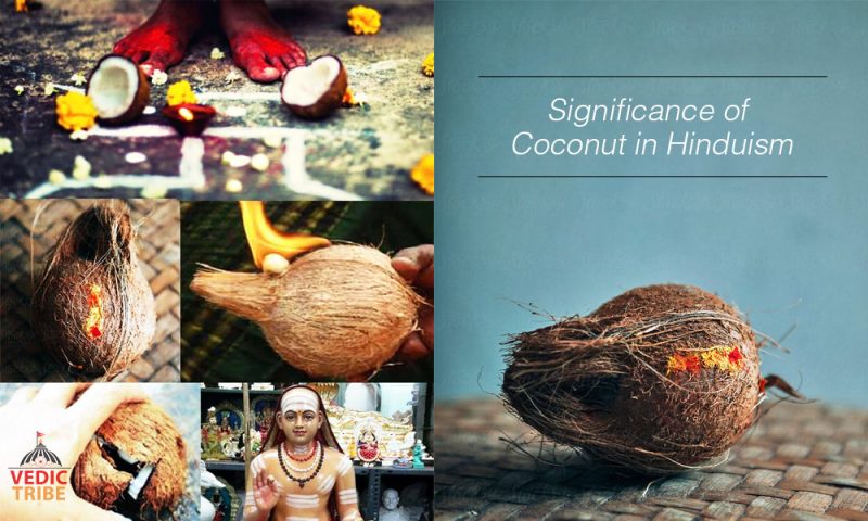 Significance of Coconut in Hinduism | Vedic Tribe