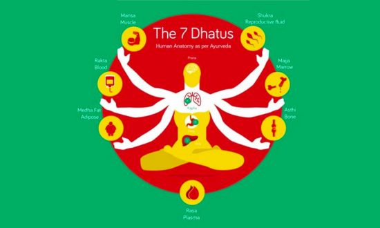 Ayurveda-vedanta: The Secrets of Life Science | Vedic Tribe