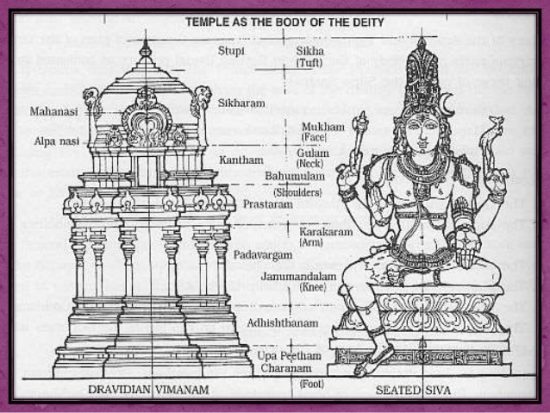 Vaastu Shastra: Hindu Temple and the Structure of Human Body | Vedic Tribe